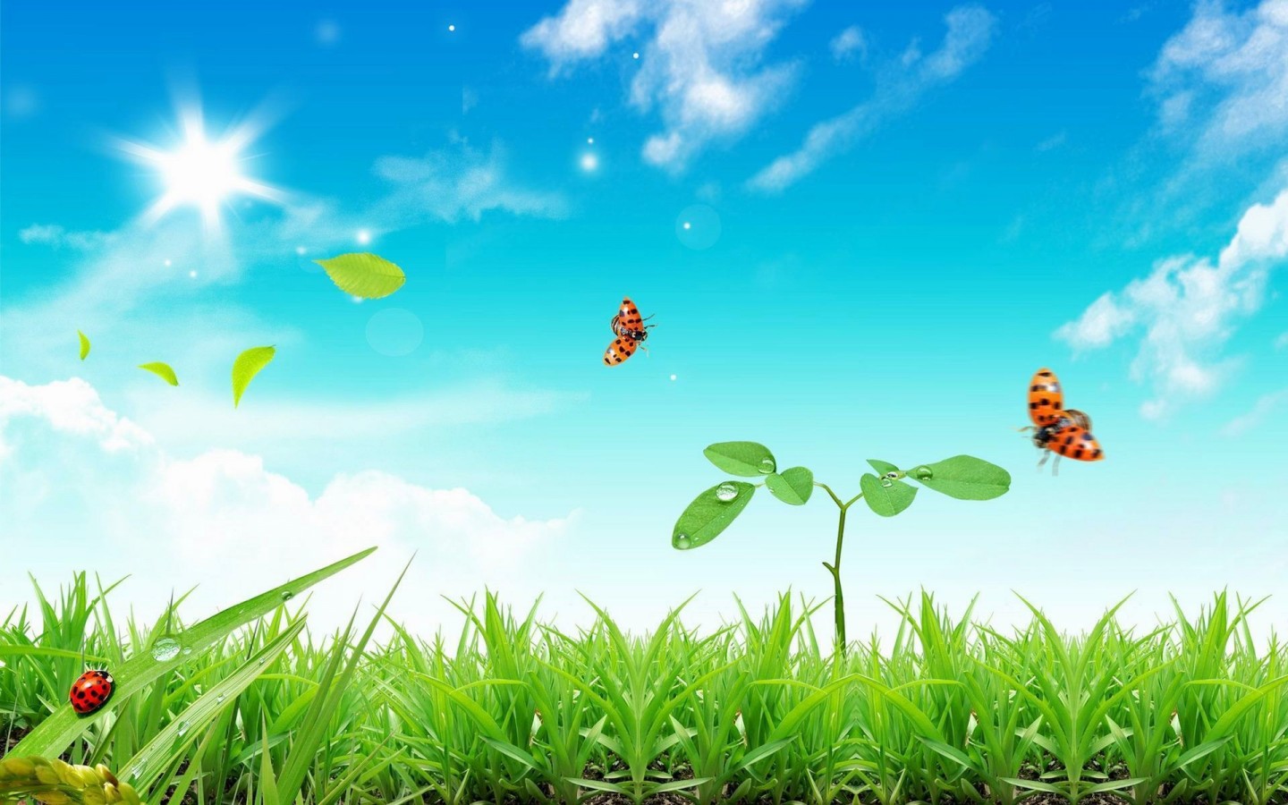 A me (mi) piace il sole, in primavera. - Il Sole che RideIl Sole che Ride